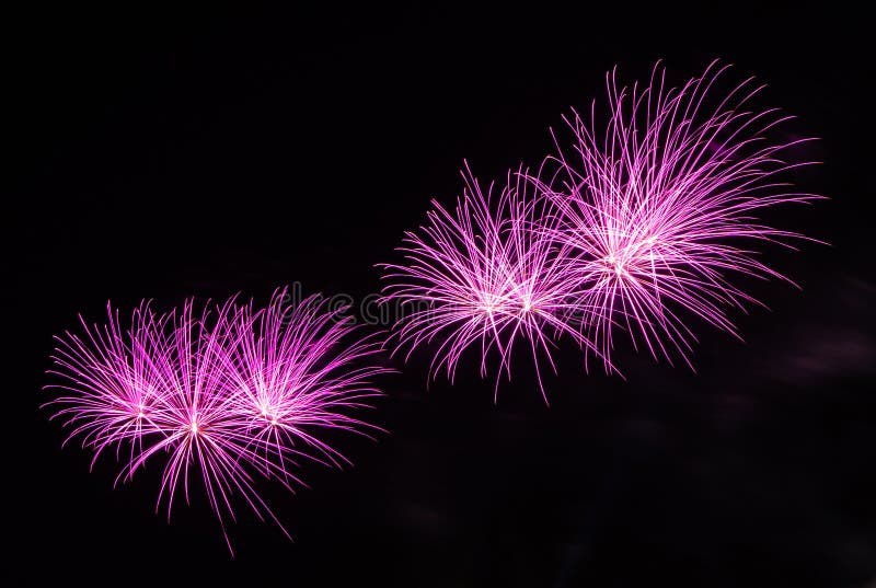 Beautiful Fireworks on Black Background , Abstract Firework Full Color ...