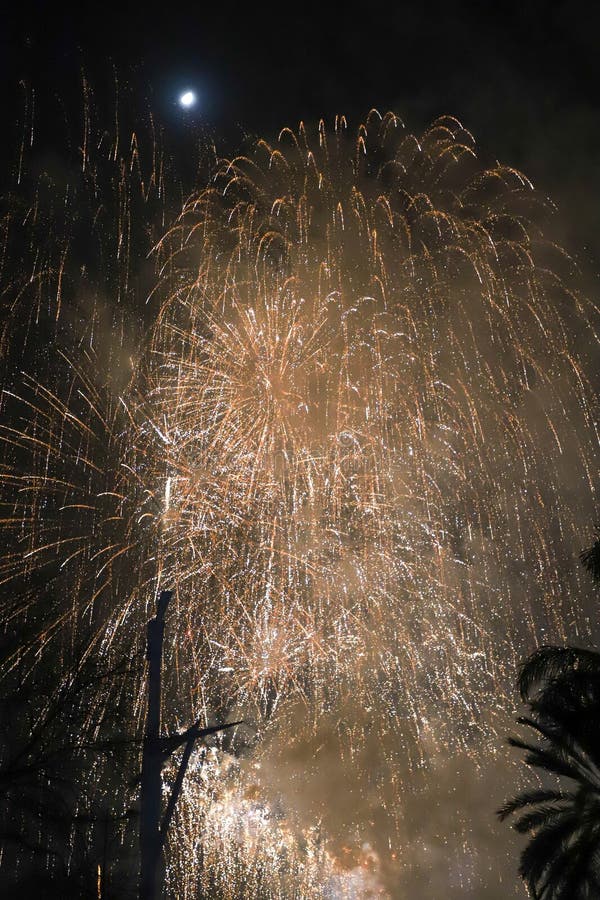 Fireworks of Different Colors and Shapes Exploding during Valencia ...