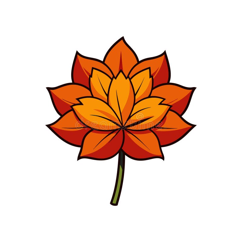 Beautiful Flame Tree Flower Illustration for Botanical Displays Stock ...