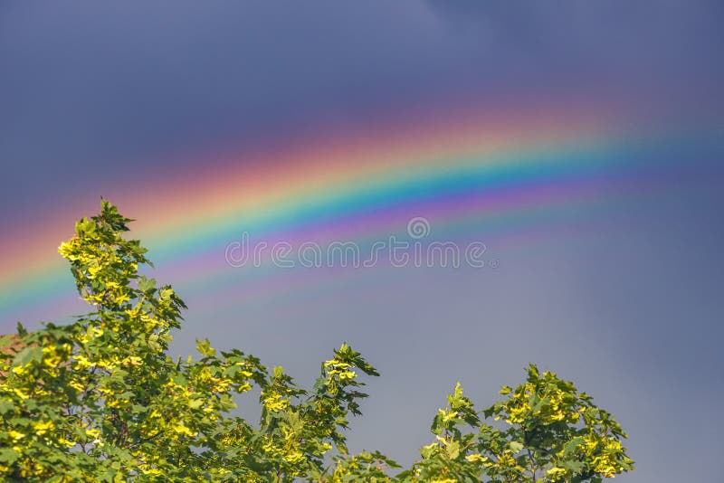 Beautiful Flat Rainbow in the Sky Close Up Stock Photo - Image of rain ...