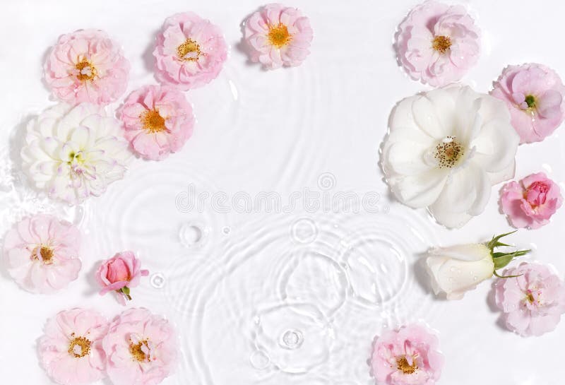 Beautiful Floral Arrangement in Water Stock Photo - Image of botanical ...