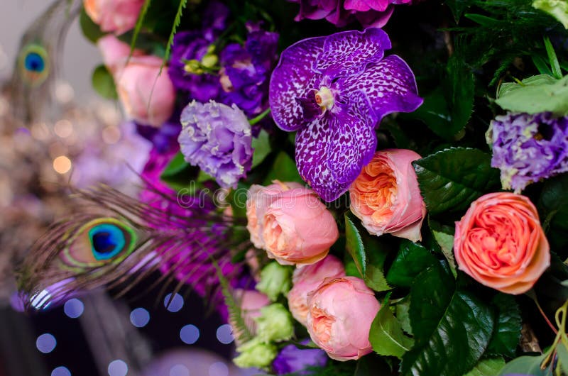 Beautiful Floral Composition Stock Photo - Image of feathers ...