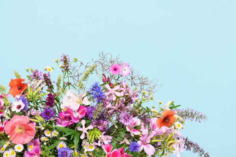 Beautiful Floral Composition Stock Image - Image of floral, beauty ...