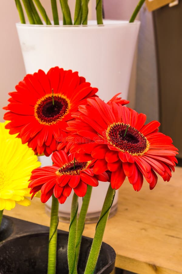 Beautiful Floral Decorations Stock Image - Image of decorative, heart ...