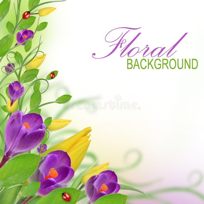 Beautiful floral design stock image. Image of defocus - 23756647