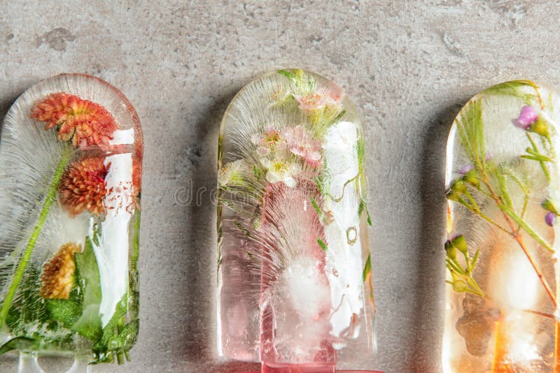 Beautiful Floral Popsicles on Grey Background Stock Photo - Image of ...