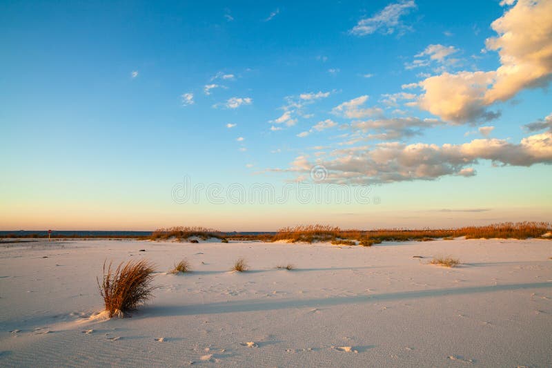 Beautiful Florida Beach stock image. Image of idyllic - 279378281