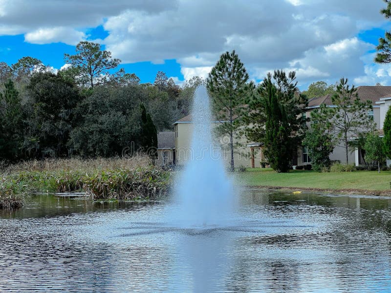 A Beautiful Florida Community Pond in Fall Stock Image - Image of ...