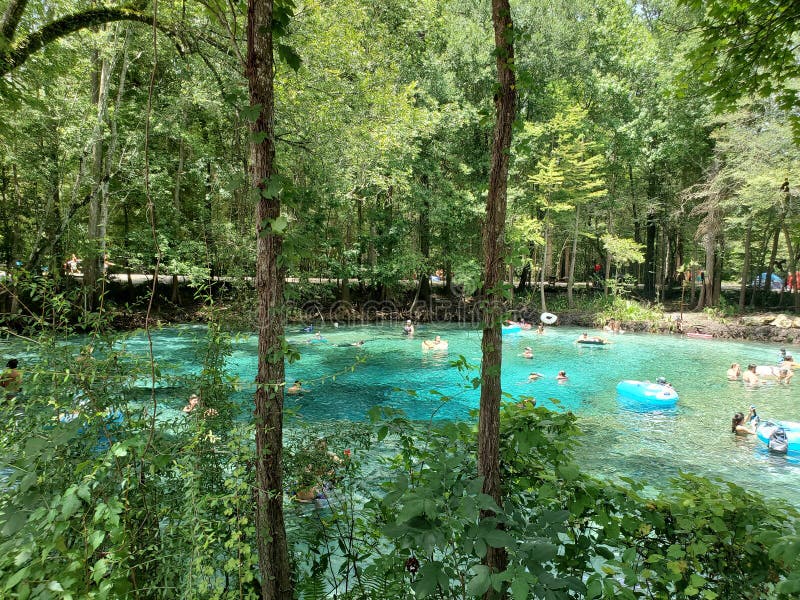 BEAUTIFUL Florida Springs editorial image. Image of florida - 198612630