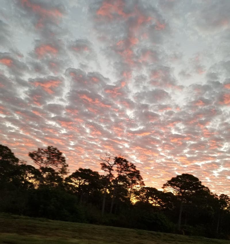 Beautiful florida sunrise stock photo. Image of florida - 173500838