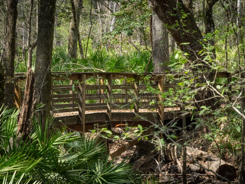 Beautiful Floridian Landscape Stock Photo - Image of exterior ...