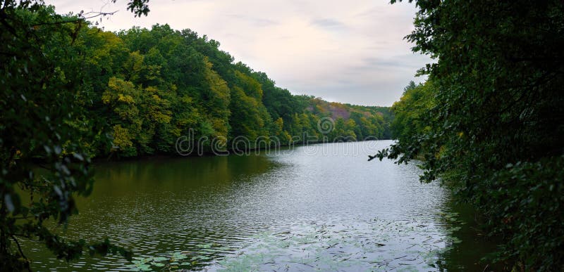 Beautiful Flow of the River in the Spring Stock Photo - Image of river ...