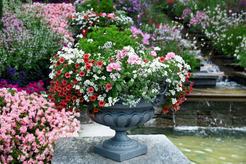 Miniature garden stock image. Image of miniature, blue - 24998339