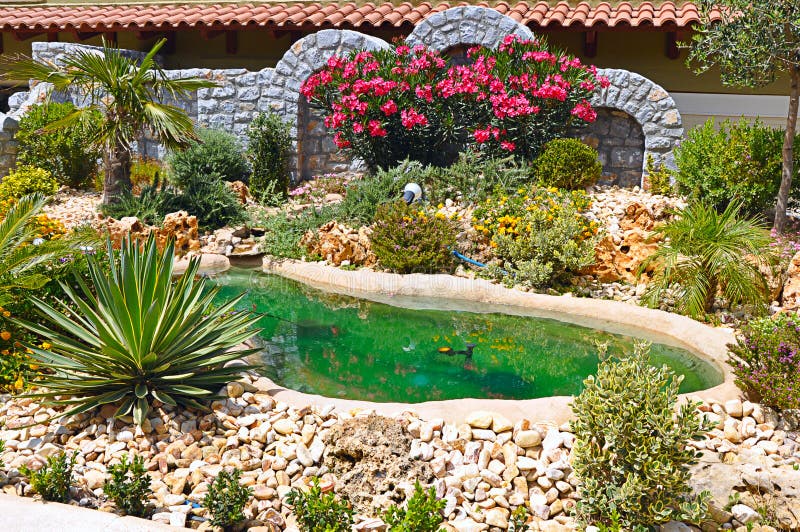 Nbiggest Tree Stock Photos - Free & Royalty-Free Stock Photos from ...