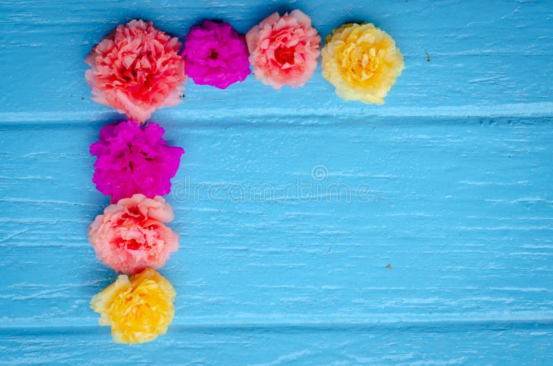 333 Spring Break Border Stock Photos - Free & Royalty-Free Stock Photos ...