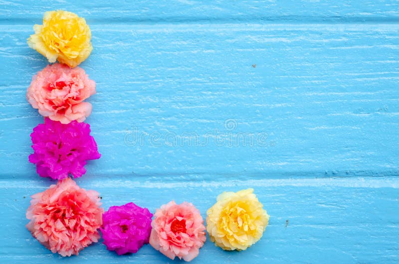 333 Spring Break Border Stock Photos - Free & Royalty-Free Stock Photos ...