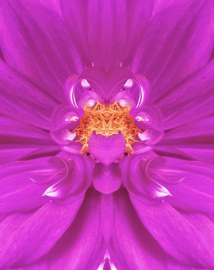 Mirror effect stock photo. Image of effect, flower, creating - 140178396