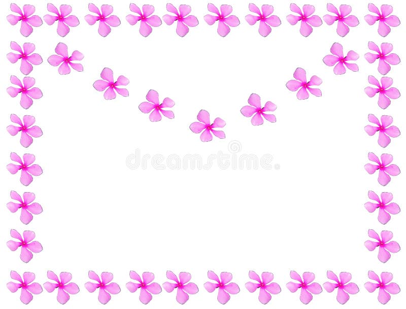 A Beautiful Flower Envelope Frame Stock Photo - Image of flower ...