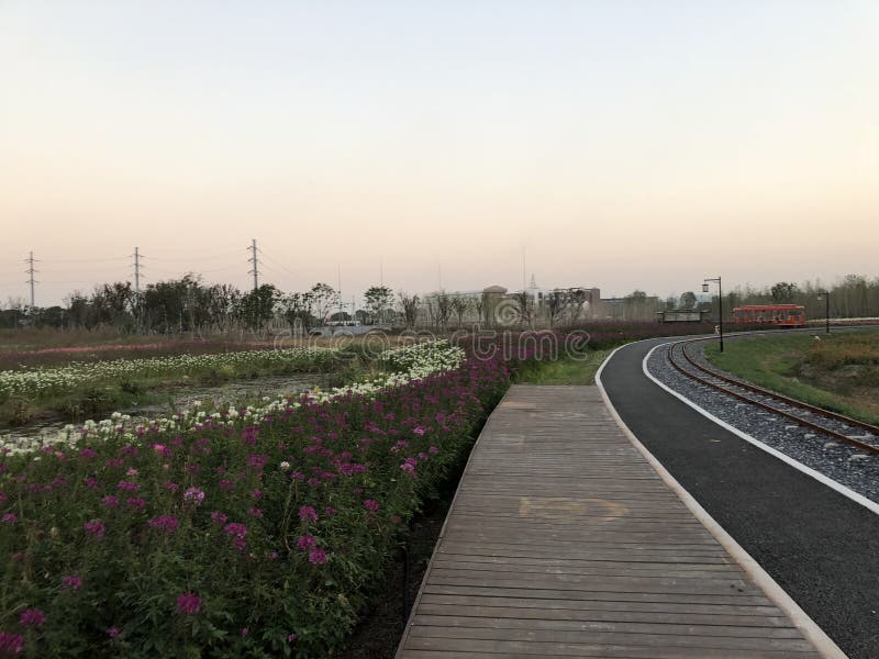 Beautiful flower garden in stock image. Image of scenery - 128732309