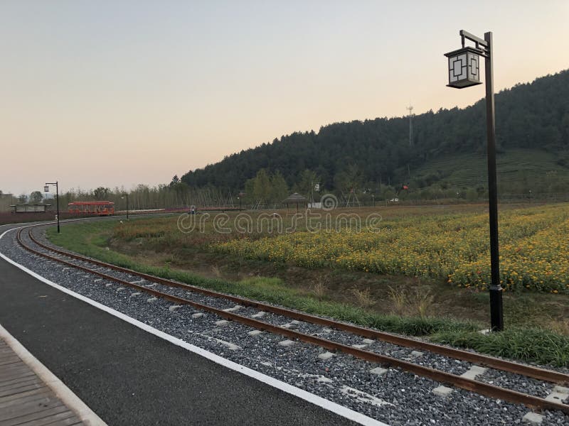 Beautiful flower garden in stock image. Image of garden - 128732327