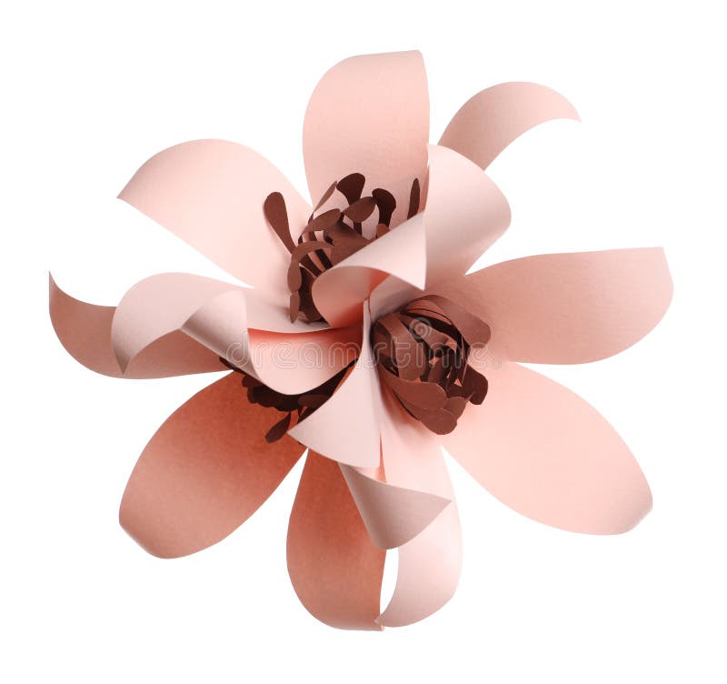 Beautiful Flower Made of Paper Isolated on White Stock Image - Image of ...