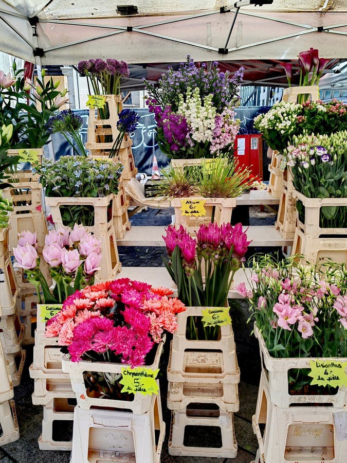 Beautiful Flower Market Geneva. Stock Photo - Image of market, flower ...