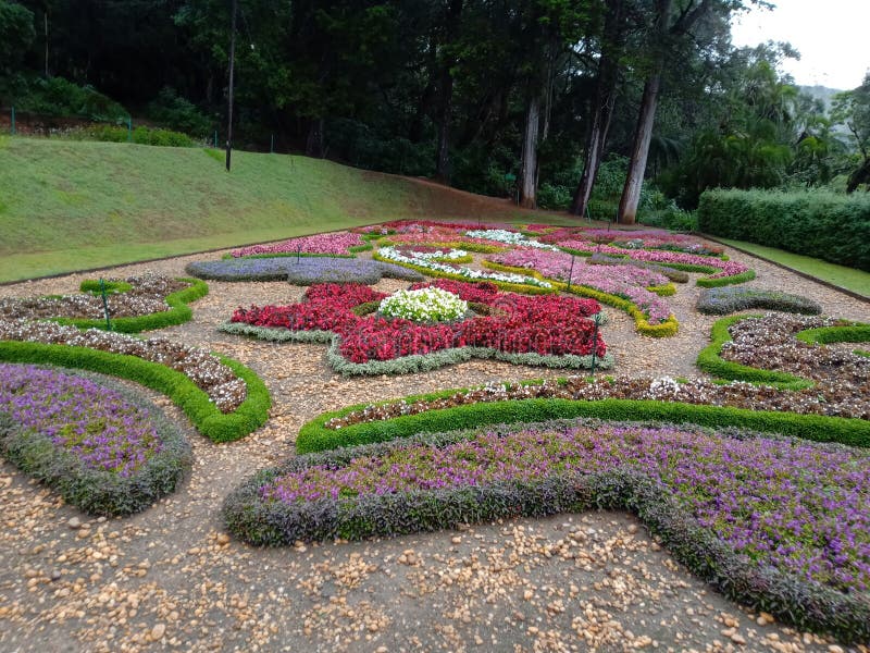 Beautiful Flower Place in Sri Lanka Stock Image - Image of flooring ...