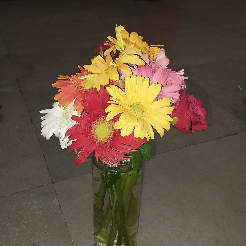 Guldasta Stock Photos - Free & Royalty-Free Stock Photos from Dreamstime