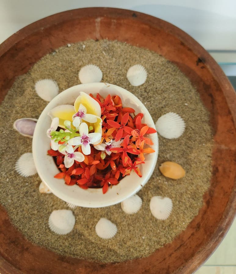 Beautiful Flower in a Pot Saroca Asoca Stock Image - Image of saroca ...