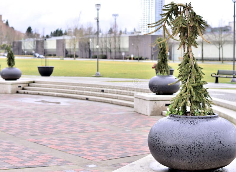 Beautiful flower pots stock photo. Image of landscaping - 30791496