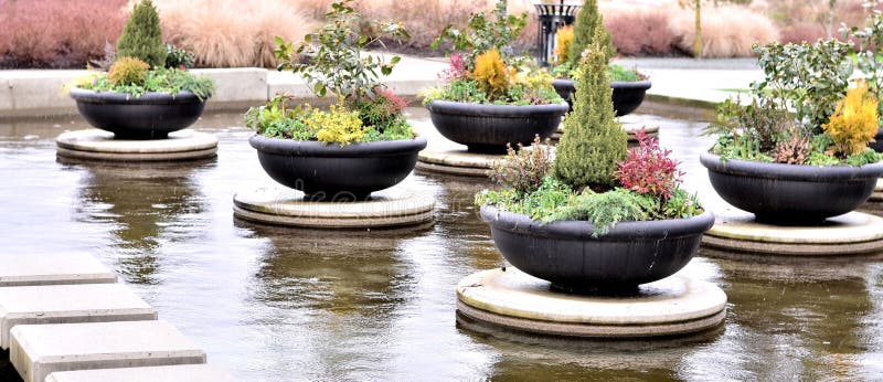 Beautiful flower pots stock photo. Image of bouquet, garden - 30791462