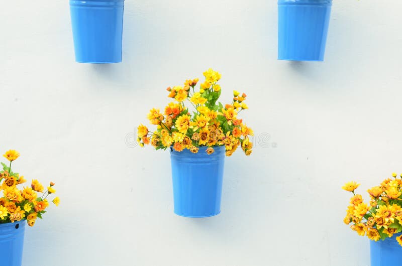 Beautiful Flower in Pots on White Wall Stock Photo - Image of ...