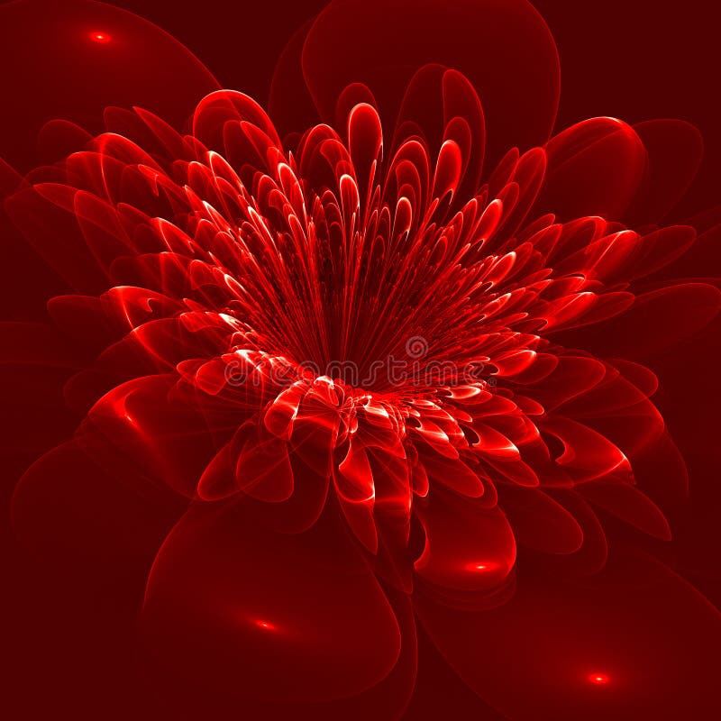 Beautiful Flower on Red Background. Computer Generated Graphics. Stock ...