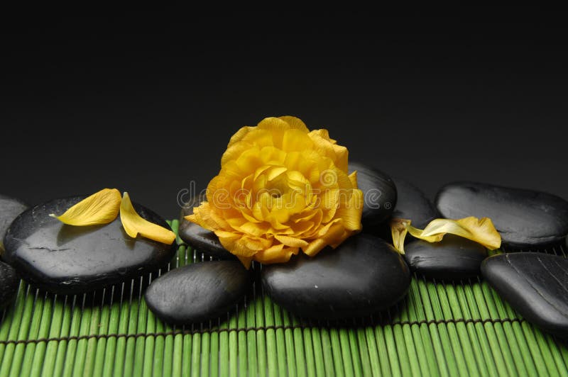 Beautiful Flower with Stones Stock Image - Image of mental, ranunculus ...