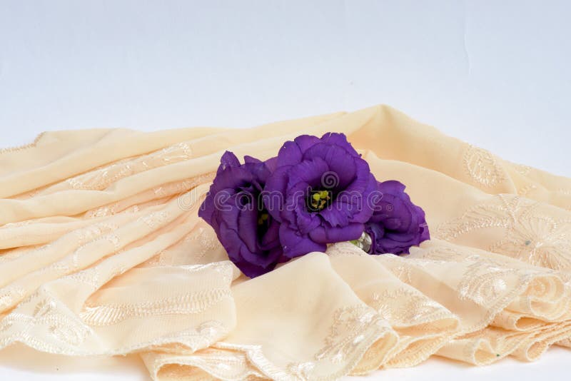 Beautiful Flower and Tissue Composition Stock Photo - Image of ...