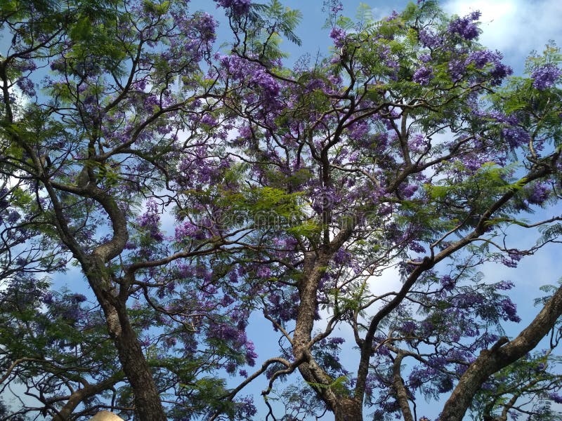 Konnor Stock Photos - Free & Royalty-Free Stock Photos from Dreamstime