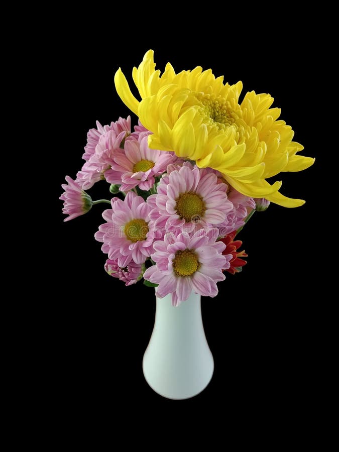 The Beautiful Flower Vas with Isolated Background Stock Illustration ...