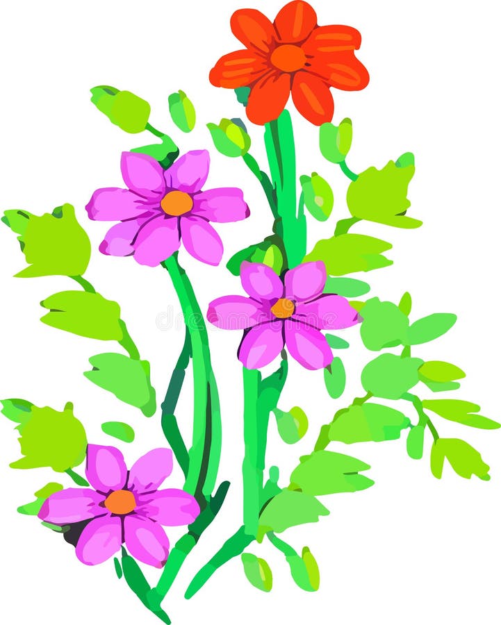 Beautiful Flower on White Background Stock Vector - Illustration of ...