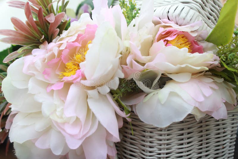 Beautiful Flower stock image. Image of wedding, plant - 90076859