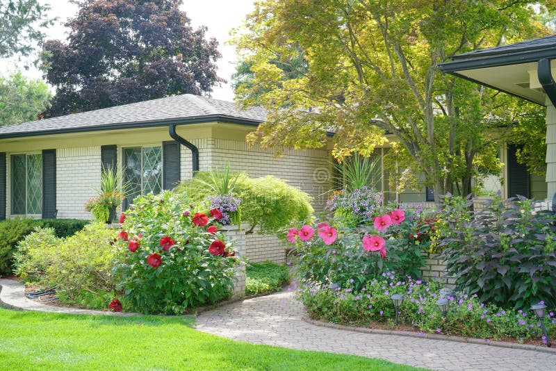 Springtime at Belle Lake Subdivision Stock Image - Image of deciduous ...