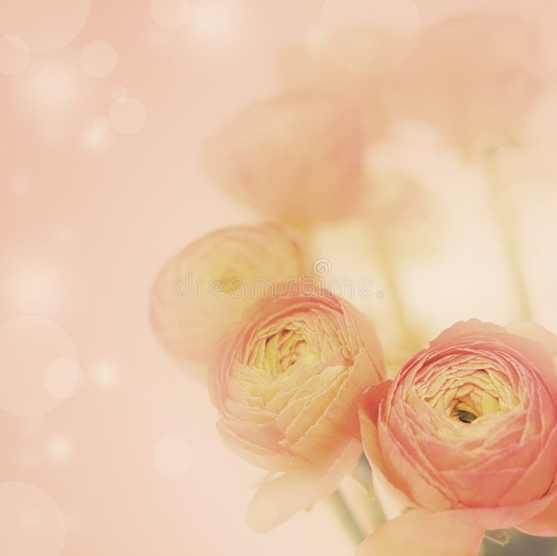 Beautiful Flowers Background Stock Illustration - Illustration of ...