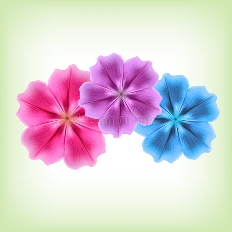 Beautiful flowers stock vector. Illustration of ornate - 55449188