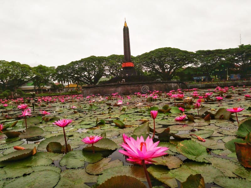 Beautiful Flowers at Central City of Malang Stock Image - Image of city ...
