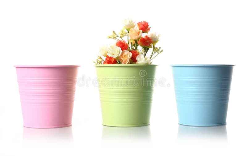 Beautiful Flowers and Colorful Floral Disc Stock Image - Image of disc ...