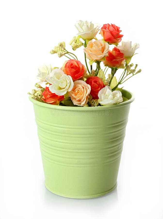 Beautiful Flowers and Colorful Floral Disc Stock Photo - Image of ...