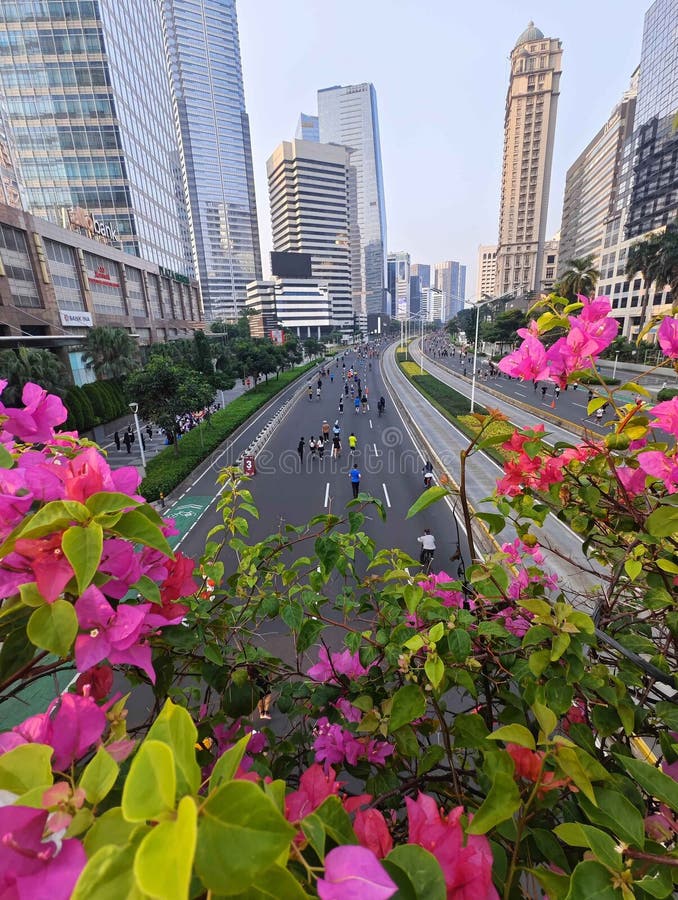 Beautiful Flowers in the Corner of the City Editorial Photo - Image of ...