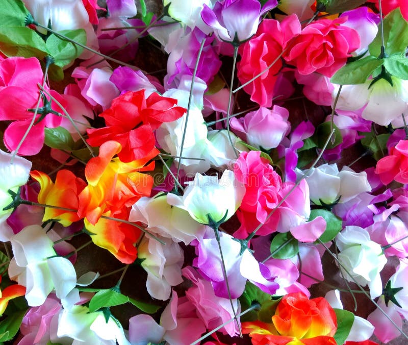 Beautiful Flowers of Different Colors Stock Photo - Image of concept ...