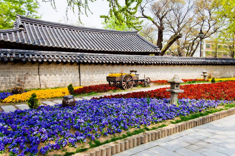 Beautiful Flowers in Front of a Korean Temple Stock Image - Image of ...