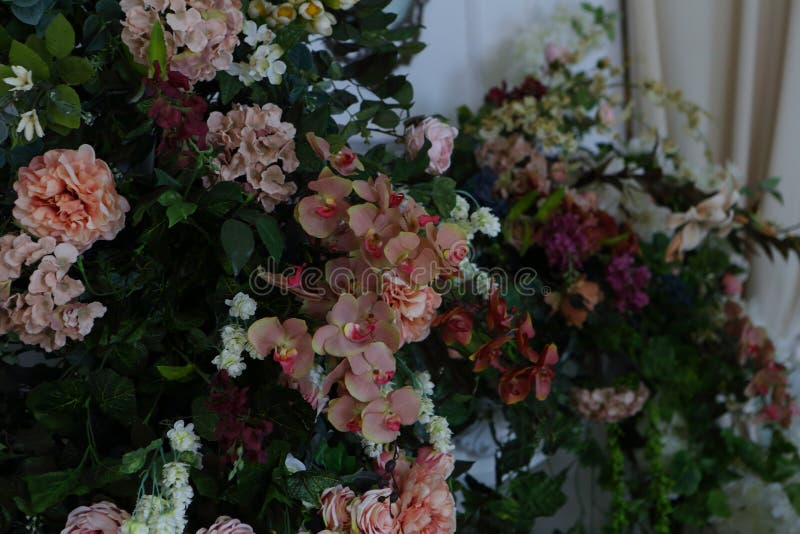 Beautiful Flowers in the Interior of the Room Stock Image - Image of ...