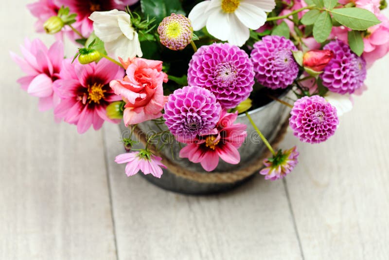 Beautiful flowers stock photo. Image of flowers, detail - 73086248